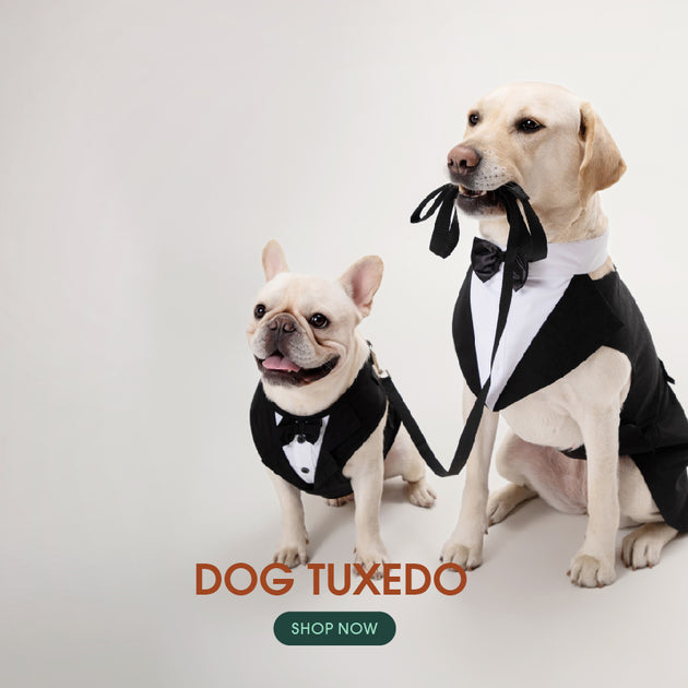 DOG TUXEDO – KUOSER