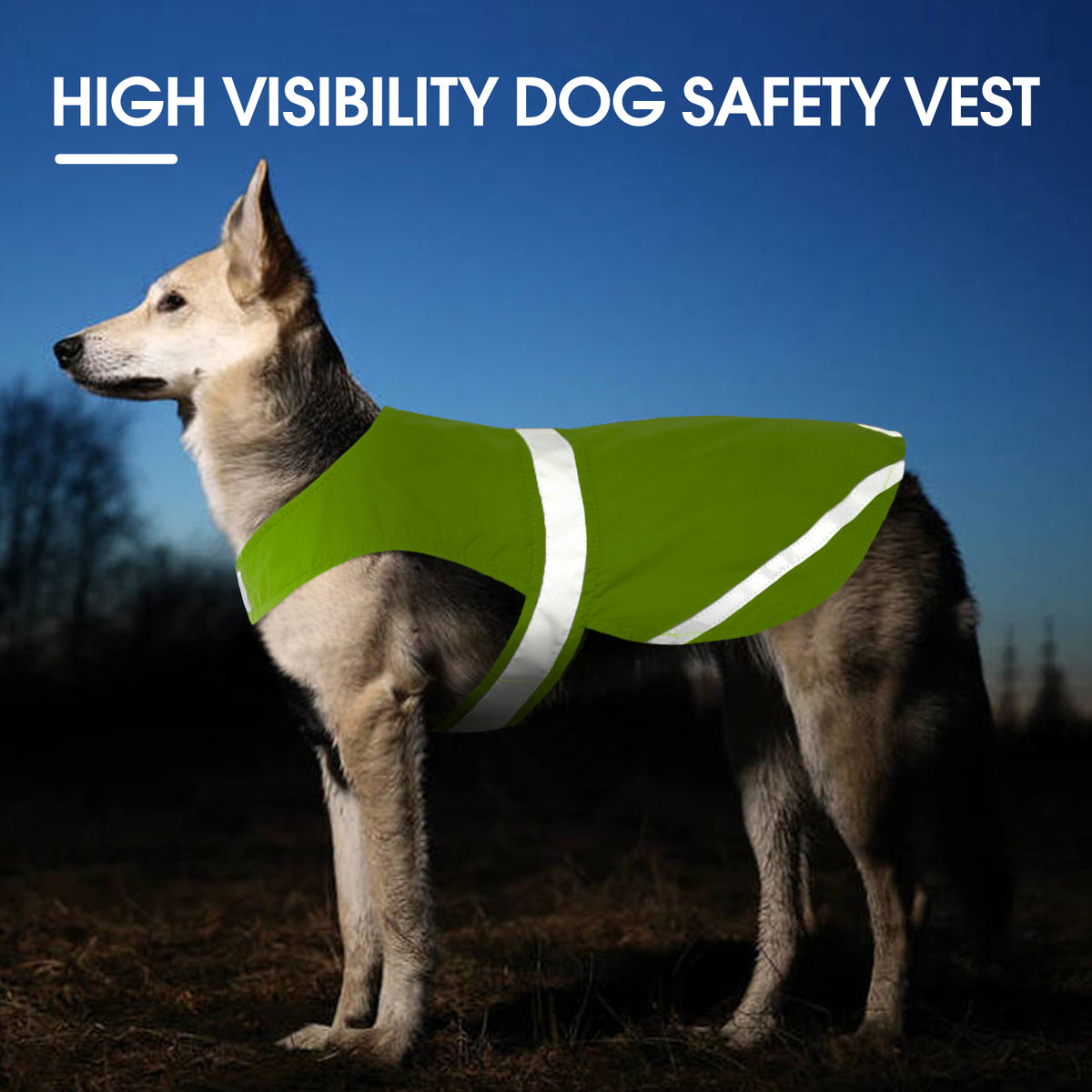 Reflective Dog Vest, High Visibility Dog Safety Vest – KUOSER