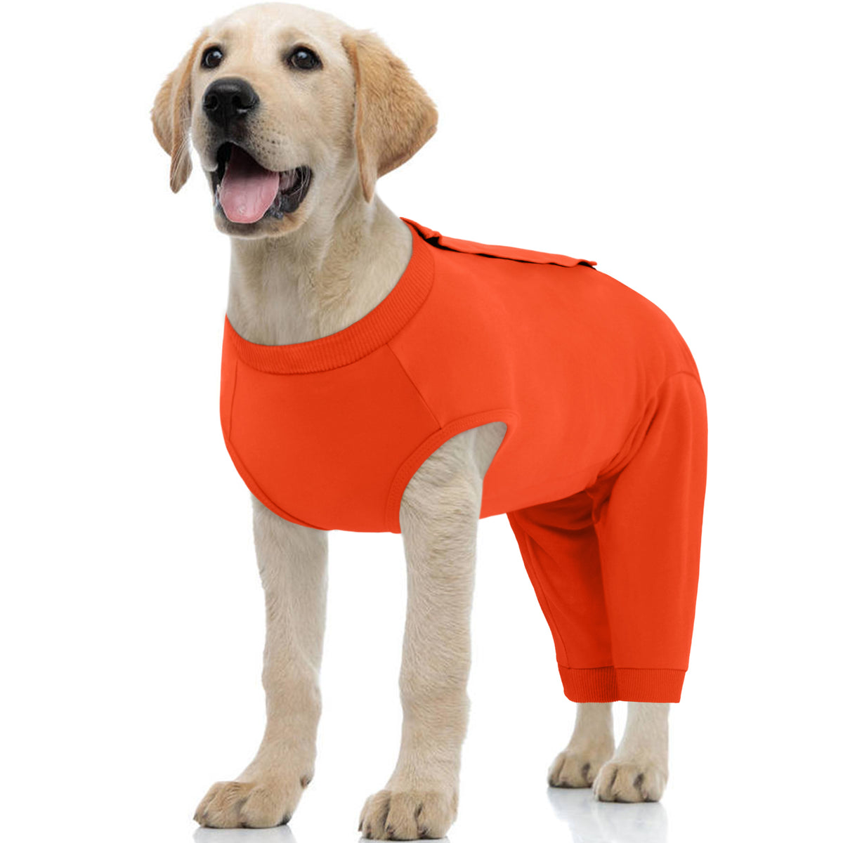 Dog Recovery Suit for Rear Legs, Dog Surgical Suit – KUOSER