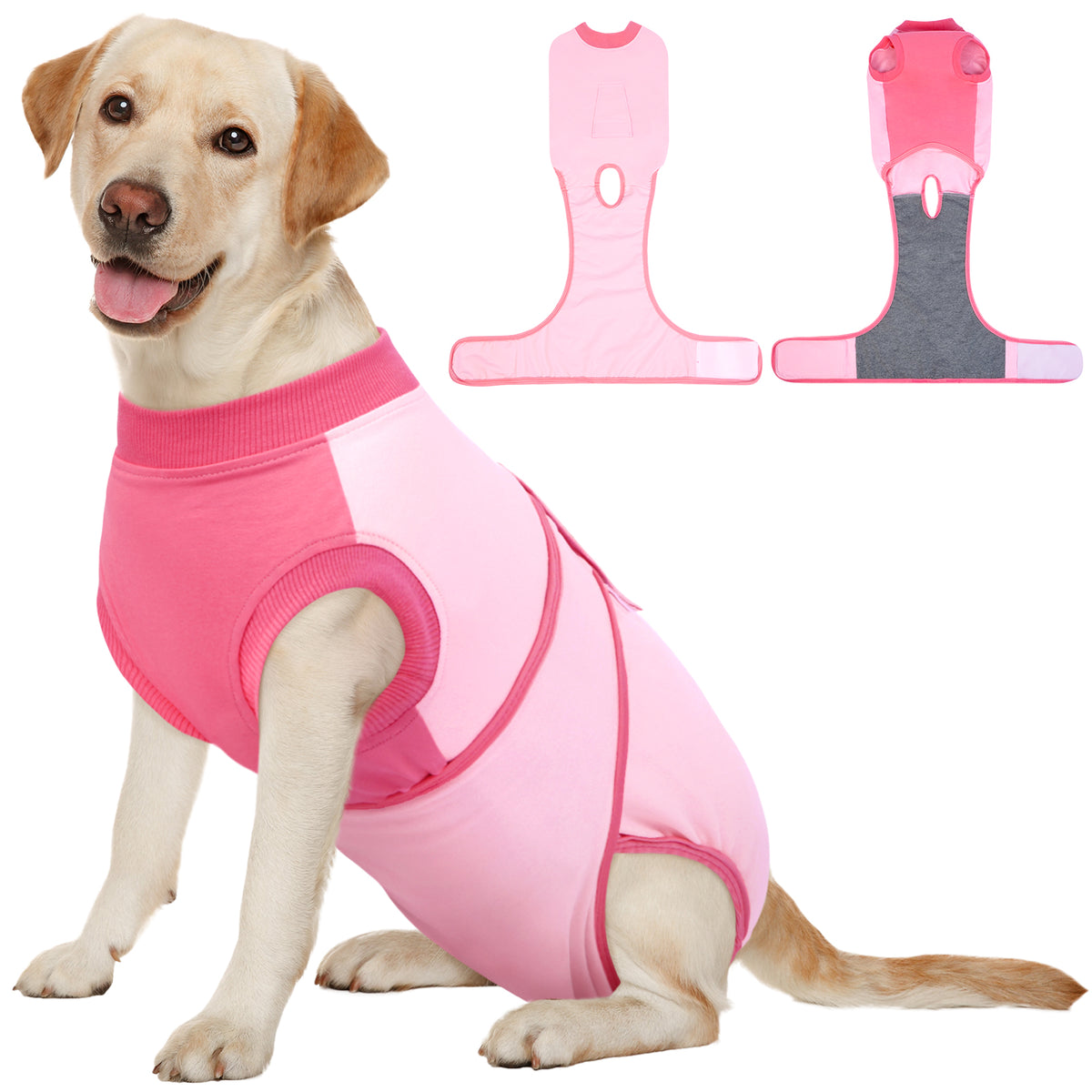 Dog Recovery Suit, Dog Surgery Suit, Dog Body Suits – KUOSER