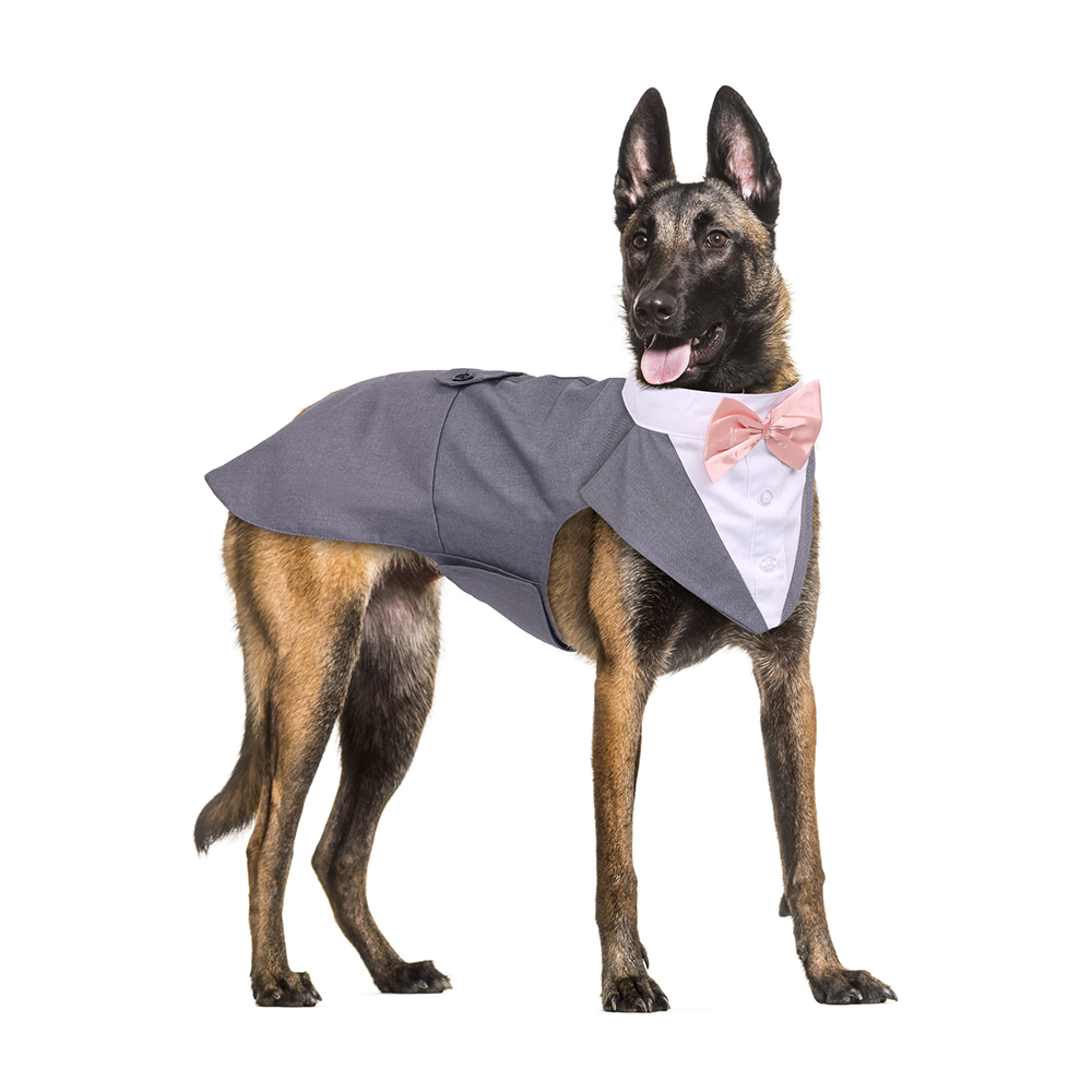 Dog Tuxedo Suit and Bandana Set – KUOSER
