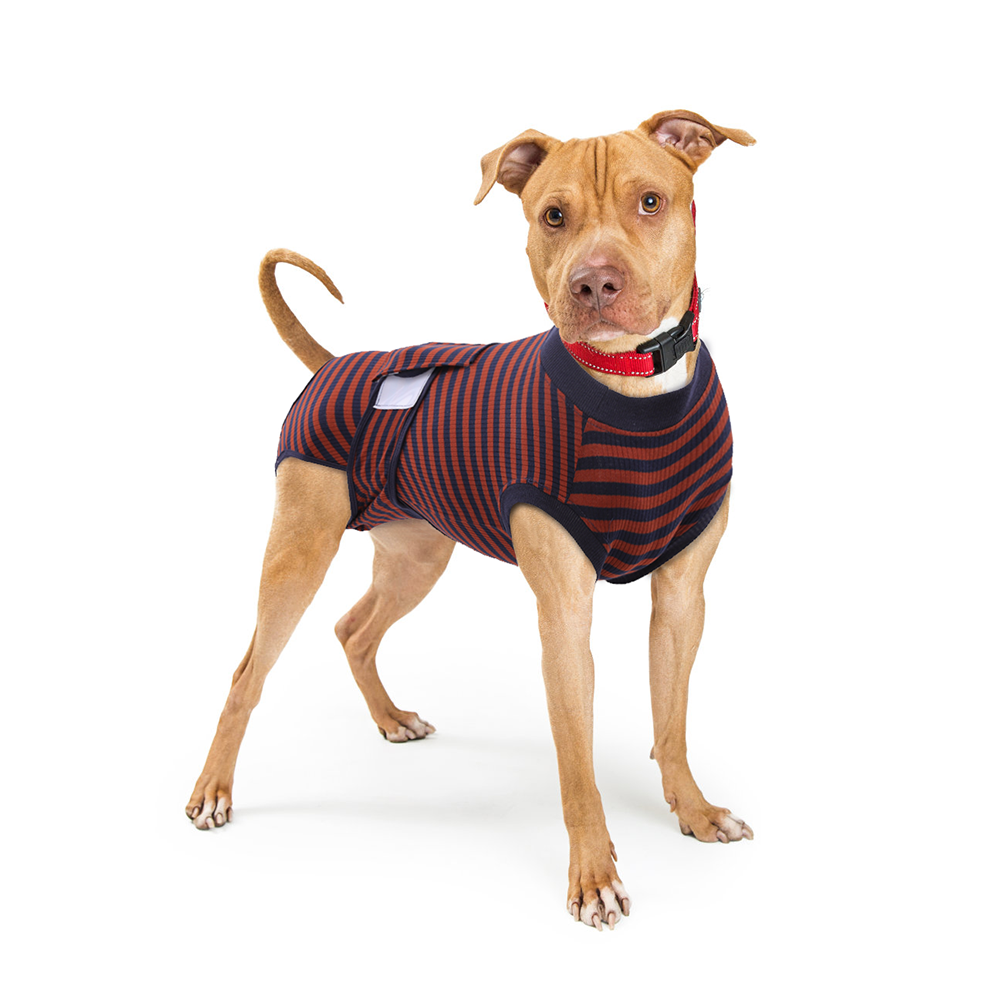 Peach Suitical Recovery Suit for Pet – KUOSER